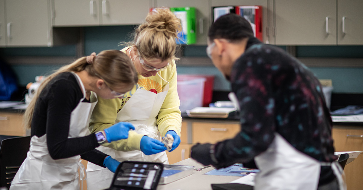 Advice and Counsel: A High School Counselor’s Role | Madison College